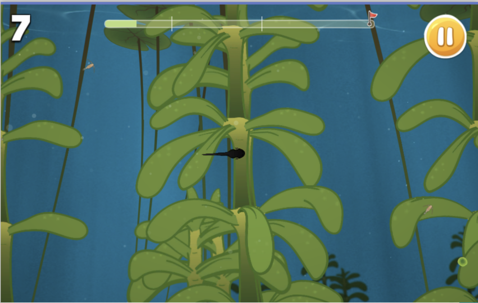 Games – Tadpoles