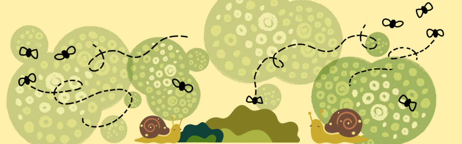 Tadpole Food – Tadpoles